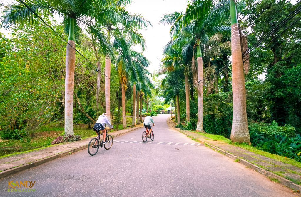 Experience the Greenery – Kandy Bungalow